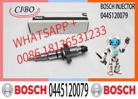China Diesel Engine Common Rail Injector 0445120079 0445 120 079 0 445 120 079 for sale