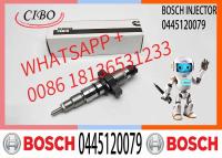China Diesel Engine Common Rail Injector 0445120079 0445 120 079 0 445 120 079 for sale