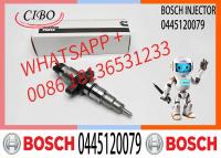 China Diesel Engine Common Rail Injector 0445120079 0445 120 079 0 445 120 079 for sale