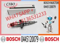 China Diesel Engine Common Rail Injector 0445120079 0445 120 079 0 445 120 079 for sale