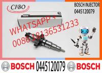 China Diesel Engine Common Rail Injector 0445120079 0445 120 079 0 445 120 079 for sale