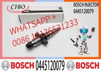 China Diesel Engine Common Rail Injector 0445120079 0445 120 079 0 445 120 079 for sale