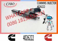 China M11 Injector Nozzle Diesel Engine Parts Fuel Injector Nozzle Injectors 4026222 for sale