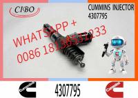 China High Quality Diesel Fuel Injector 4307795 4384360 for N14 Qsn14 Engine Injector diesel for sale