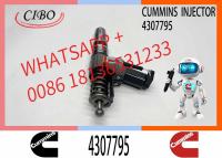 China High Quality Diesel Fuel Injector 4307795 4384360 for N14 Qsn14 Engine Injector diesel for sale
