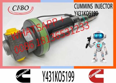 China Fuel Injector Assembly 2867147 2882077 4955524 Y431KO5393 2882078For Qsk19 Engine for sale