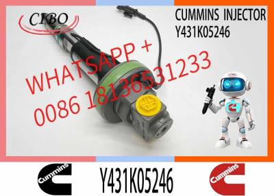 China High Quality Diesel Fuel Injector Y 431 K05 246 for QSK19 38 50 60 Injector Y431K05246 for sale