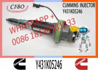 China High Quality Diesel Fuel Injector Y 431 K05 246 for QSK19 38 50 60 Injector Y431K05246 for sale