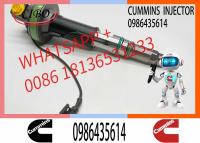 China Engineering Machinery QSK19 Truck Engine System Accessories 0986435614 Diesel Fuel Injector for sale