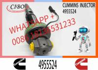 China Engineering Machinery QSK19 Truck Engine System Accessories 4955524 Diesel Fuel Injector for sale