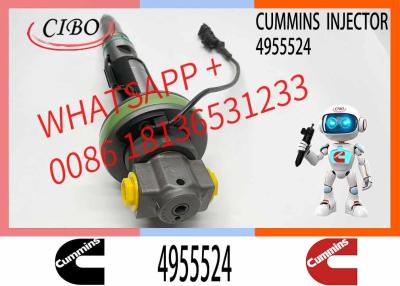 China Engineering Machinery QSK19 Truck Engine System Accessories 4955524 Diesel Fuel Injector for sale