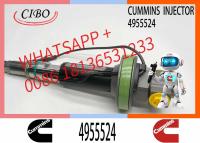 China Engineering Machinery QSK19 Truck Engine System Accessories 4955524 Diesel Fuel Injector for sale