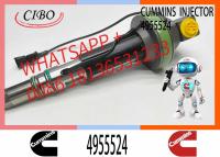 China Engineering Machinery QSK19 Truck Engine System Accessories 4955524 Diesel Fuel Injector for sale
