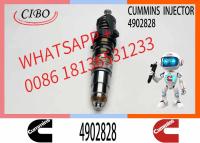 China Genset Marine Mining Machinery Injector QSK23 QSK60 Diesel Engine Fuel Injector 4902827 4902828 for sale