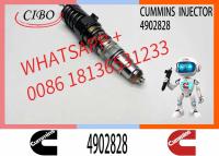 China Genset Marine Mining Machinery Injector QSK23 QSK60 Diesel Engine Fuel Injector 4902827 4902828 for sale