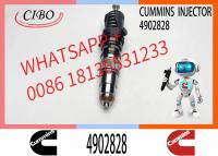 China Genset Marine Mining Machinery Injector QSK23 QSK60 Diesel Engine Fuel Injector 4902827 4902828 for sale
