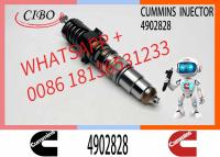 China Genset Marine Mining Machinery Injector QSK23 QSK60 Diesel Engine Fuel Injector 4902827 4902828 for sale