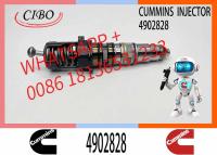 China Genset Marine Mining Machinery Injector QSK23 QSK60 Diesel Engine Fuel Injector 4902827 4902828 for sale