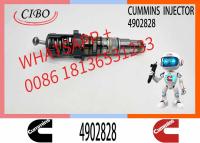 China Genset Marine Mining Machinery Injector QSK23 QSK60 Diesel Engine Fuel Injector 4902827 4902828 for sale