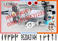 China Neutral  Excavator Diesel Fuel Pump Injection 9520A314H 320/06940 Delphy Fuel Injection Pump for sale