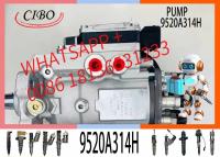 China Neutral  Excavator Diesel Fuel Pump Injection 9520A314H 320/06940 Delphy Fuel Injection Pump for sale