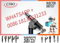 China 3087557 3411752 3084589 Factory Remanufactured Diesel Fuel Injector for ISM/QSM Engine for sale