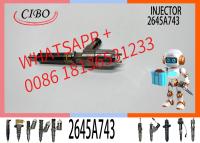 China Diesel Engine Injector10R-7670 10R-7671 10R-7672 2645A743 10R-7951 382-0480 For  C4.4/C6.6ommon Rail for sale