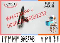 China Diesel Engine Injector10R-7670 10R-7671 10R-7672 2645A743 10R-7951 382-0480 For  C4.4/C6.6ommon Rail for sale