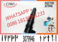 China Diesel Common Rail Injector 3406604 3411821 3071497 3087648 4914328 3018835 3079946 for C-ummins M11 Engine for sale