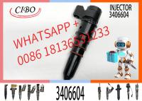 China 4914458 3087648 4060959 3406604 3411821 New Fuel Injector Compatible with ISM QSM11 Diesel Engine for sale