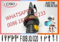 China Construction Machinery Parts 4964171 4964172 4964173 Fuel Injector F00BJ020 4955524 for QSK19 Engine for sale