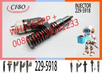 China C10 Engine Fuel Injector 317-5278 161-1785 10R-0967 10R-1259 10R-1258 CH12082 229-5918 for Mechanical Parts for sale