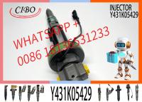 China Mechanical Engine Parts Diesel Injector Y431K05558 Y431K05417 4964170 4964171 2867149 Injection Ralves for QSK19 Diesel Engine for sale