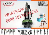 China Mechanical Engine Parts Diesel Injector Y431K05558 Y431K05417 4964170 4964171 2867149 Injection Ralves for QSK19 Diesel Engine for sale