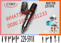 China Excavator Parts C12 Engine Injector229-5918 CH12082 10R-1305 212-3463 137-2500 Fuel Injector for Excavator for sale