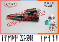 China Excavator Parts C12 Engine Injector229-5918 CH12082 10R-1305 212-3463 137-2500 Fuel Injector for Excavator for sale
