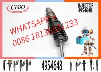 China 579263 4954648 1499257 579251 4903451 Diesel Fuel (1764364) Injector for Truck Sale Advertisement for sale