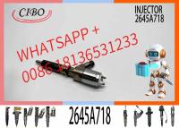 China C6.6 Diesel Engine Fuel Injector 292-3780 2923780 2645A718 for sale
