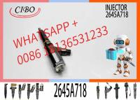 China C6.6 Diesel Engine Fuel Injector 292-3780 2923780 2645A718 for sale