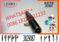 China Injector Assy Fuel 3829087 03829087 3803637 3803638 889481 00889481 Nozzle Injector BEBE4C07001 BEBE4C08001 for sale