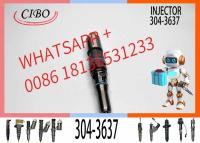 China Common Rail Injector Assembly 3043637 304-3637 for sale