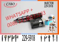 China Excavator Injector 10R1814 10R-1814 2295918 229-5918 for C12 Engine Parts Diesel Nozzle Assembly for sale