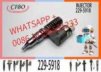 China Excavator Injector 10R1814 10R-1814 2295918 229-5918 for C12 Engine Parts Diesel Nozzle Assembly for sale