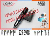 China Excavator Injector 10R1814 10R-1814 2295918 229-5918 for C12 Engine Parts Diesel Nozzle Assembly for sale