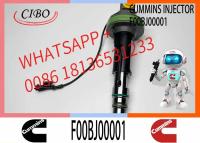 China Engine Fuel Injector Assembly 2867147 F00BJ00000 F00BJ00001 for QSK19 QSK38 QSK50 Engine Parts for sale