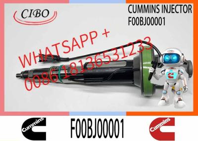 China Engine Fuel Injector Assembly 2867147 F00BJ00000 F00BJ00001 for QSK19 QSK38 QSK50 Engine Parts for sale