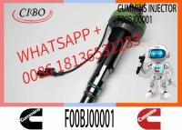 China Engine Fuel Injector Assembly 2867147 F00BJ00000 F00BJ00001 for QSK19 QSK38 QSK50 Engine Parts for sale