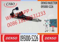 China New diesel Fuel Common Rail Injector 095000-5224 095000-5225 for HINO/TOYOTA Diesel Spare Inyector E13C P13 More Series for sale