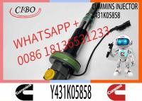 China Common Rail Diesel Fuel Y431K05558 for QSK19 Diesel Engine Diesel Common Rail Fuel Injector Good Quality High Performance Auto Engine Parts for sale