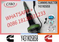 China Common Rail Diesel Fuel Y431K05558 for QSK19 Diesel Engine Diesel Common Rail Fuel Injector Good Quality High Performance Auto Engine Parts for sale